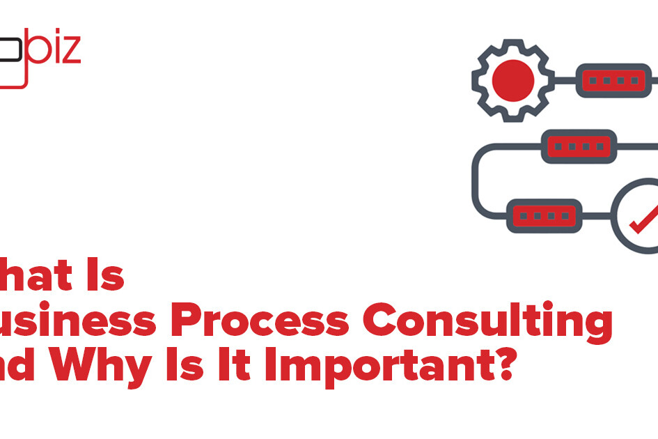 Business Process Improvement - Mobiz